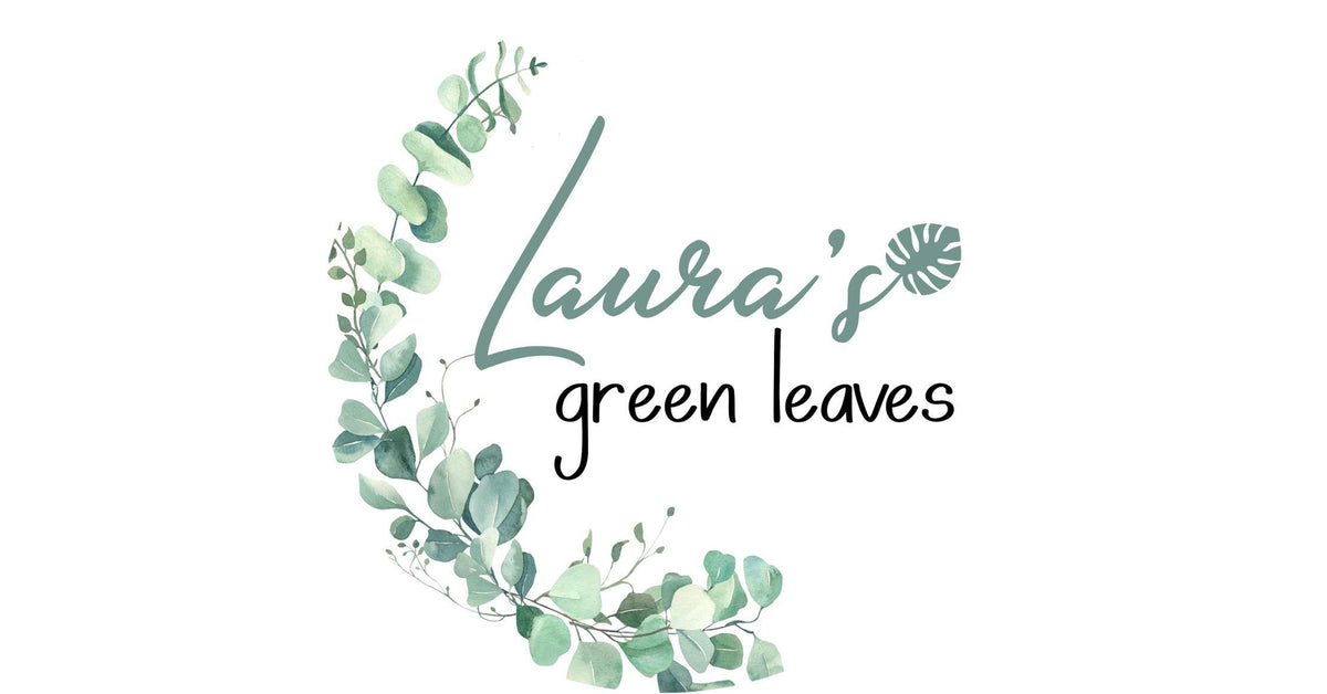 House Plants by Laura – House Plants by Laura