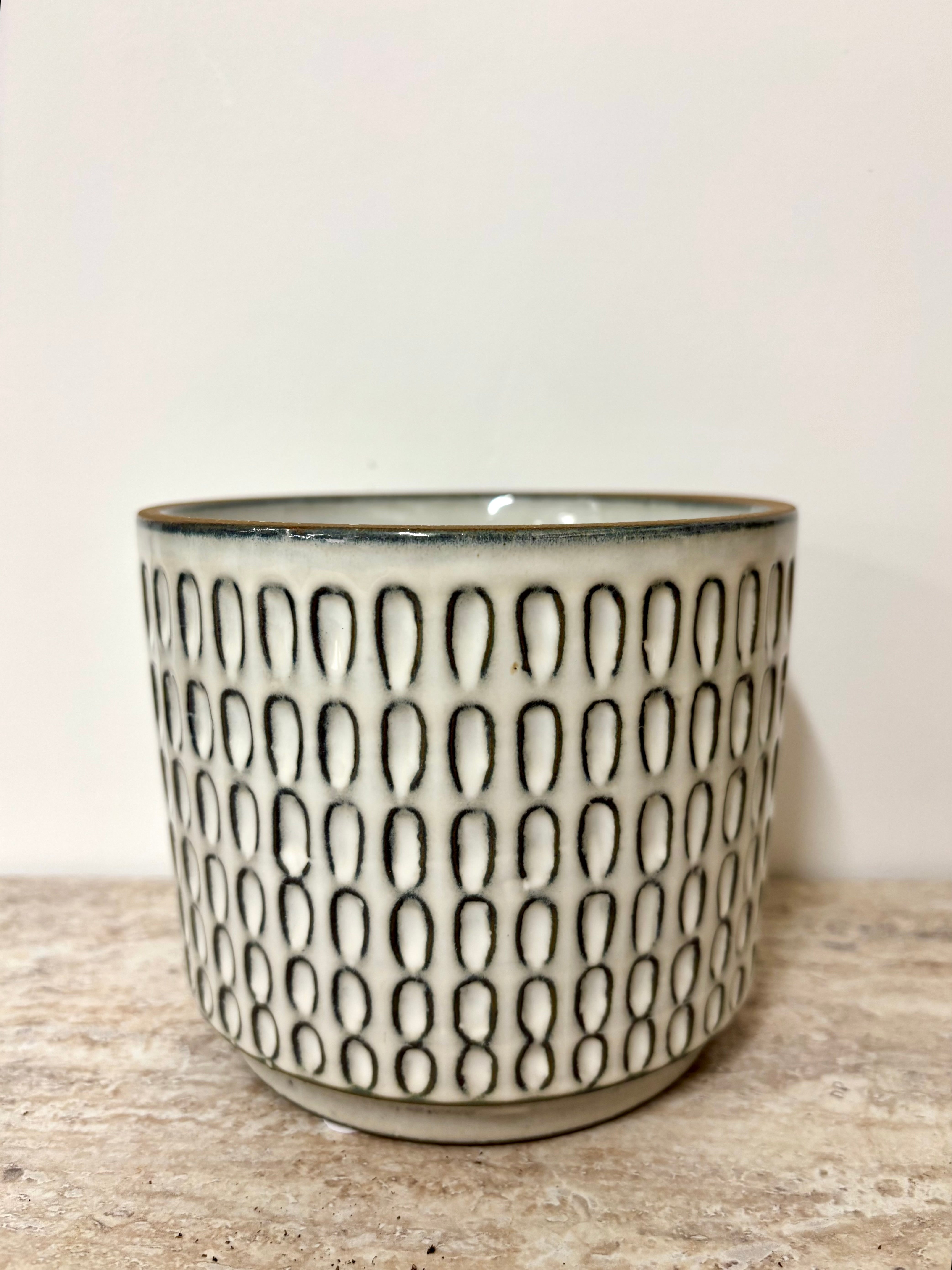 Large glazed dot pot. – House Plants by Laura